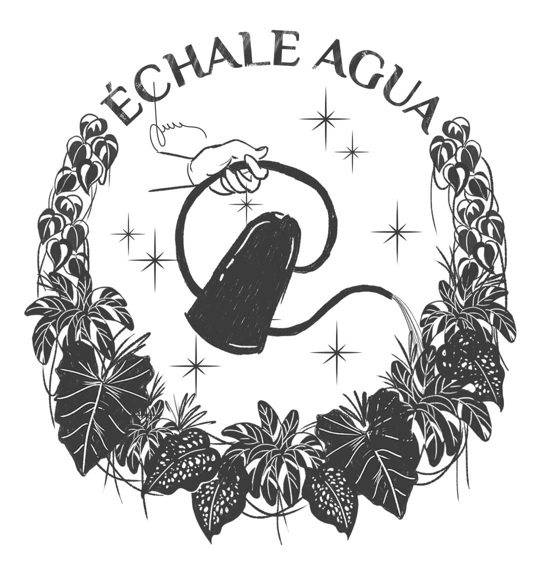 ÉCHALE AGUA – JOSEJIMENEZ VEGA