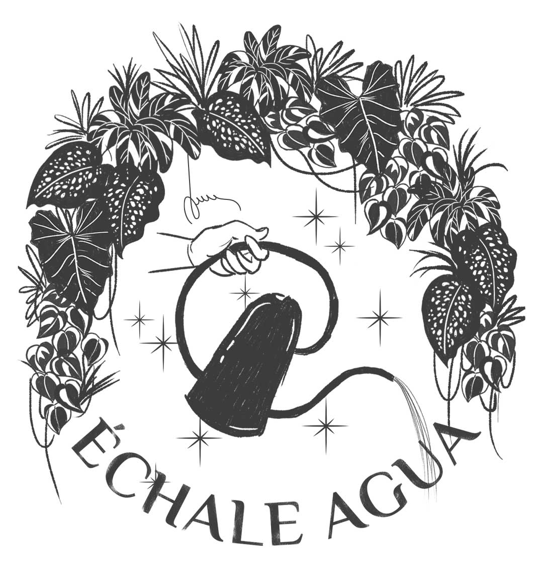 ÉCHALE AGUA – JOSEJIMENEZ VEGA